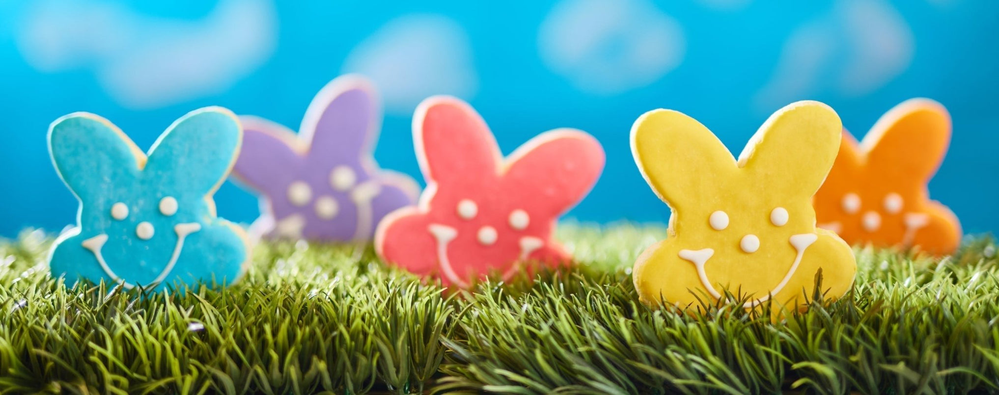 Get Egg-cited! You’ve Found our Easter Collection — SmileyCookie.com